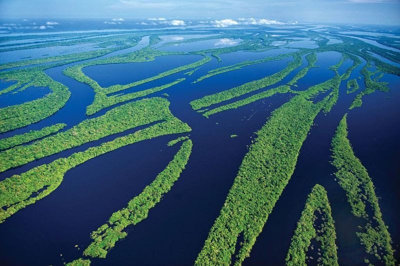 "10 Safest Locations to Camp in the Amazon Forest - A Guide to ...