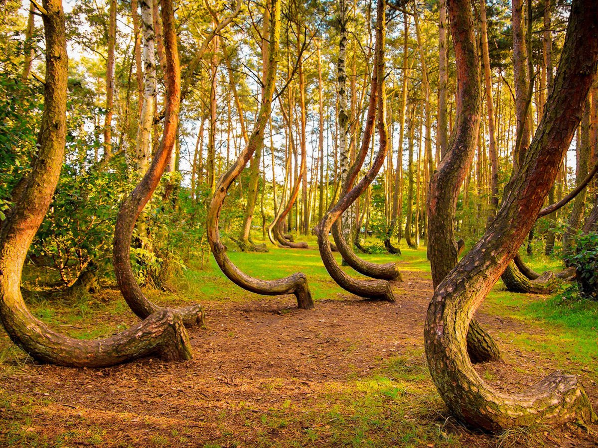 5 beautiful travel events in Poland - Travellingstory