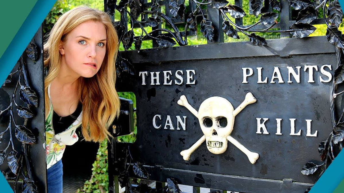 England's deadliest garden open to the public: Anic - Travellingstory