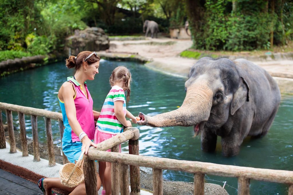 10 Best Zoos in Europe - Travellingstory
